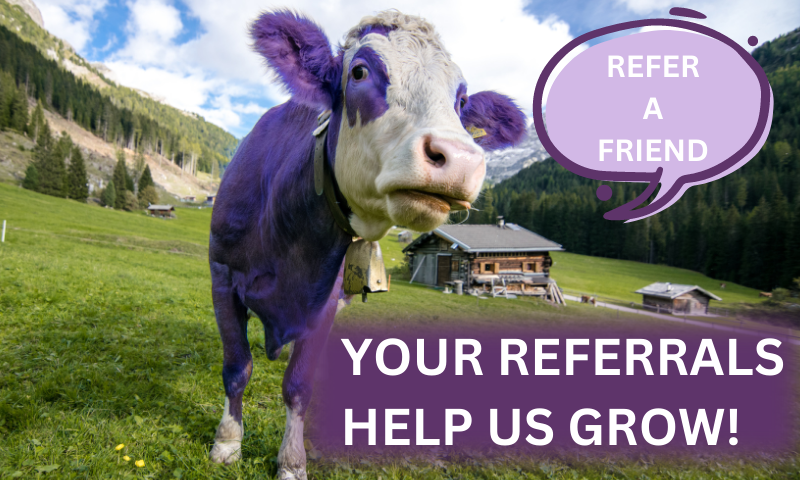 Carriers - Purple Cow Insurance - Insurance Agent in Laurel, Montana